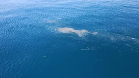 Water pollution in blue ocean | Stock Video | Pond5