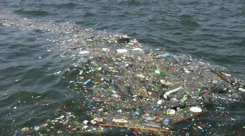 Water Pollution Full HD 1080p | Stock Video | Pond5