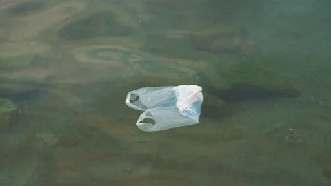 Water pollution. A plastic bag on the su... | Stock Video | Pond5