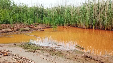 Water pollution by sewage of city river ... | Stock Video | Pond5