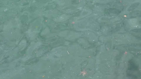 Water pollution with stains on the pollu... | Stock Video | Pond5
