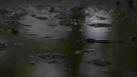 Puddle On Floor Stock Videos – Royalty-Free HD & 4K Videos