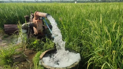 Water pump to irrigate rice fields. | Stock Video | Pond5