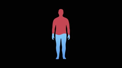 Water Rate In The Human Body Animation o... | Stock Video | Pond5