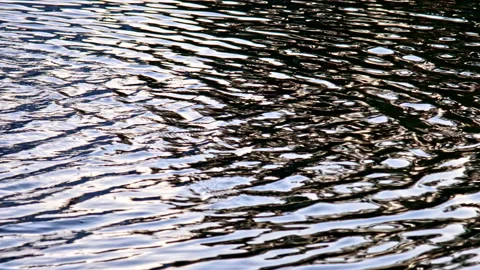 Water Ripples 4K | Stock Video | Pond5