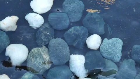 Stone Water Ripples Stock Videos – Royalty-Free HD & 4K Videos