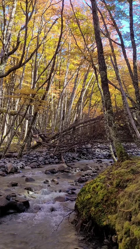 Water running between the rocks in the s... | Stock Video | Pond5
