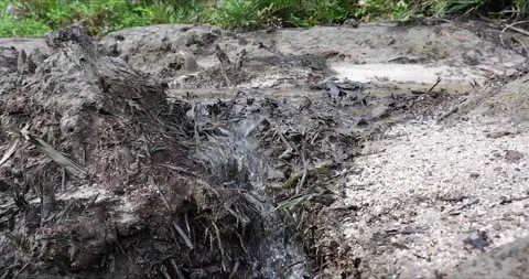Water From Sandy And Muddy Surfaces With... | Stock Video | Pond5