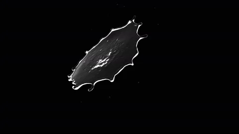 Water Splash Liquid Alpha Stock Video Footage | Royalty Free Water ...