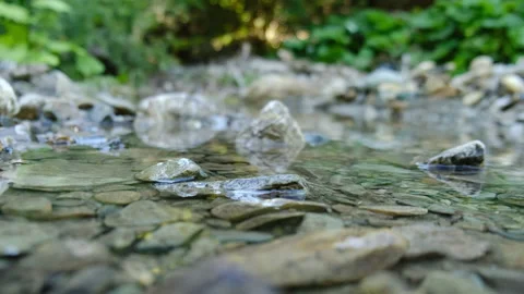 Water splash on background green forest ... | Stock Video | Pond5