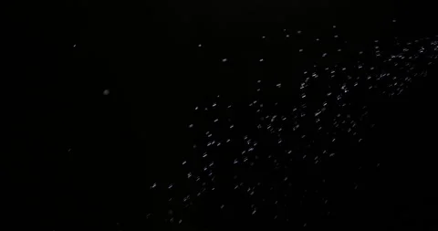 Back Drop On Stock Videos – Royalty-Free HD & 4K Videos