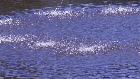 water splash into a pond | Stock Video | Pond5