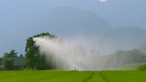 Agriculture Sprinkler Stock Video Footage | Royalty Free Agriculture ...
