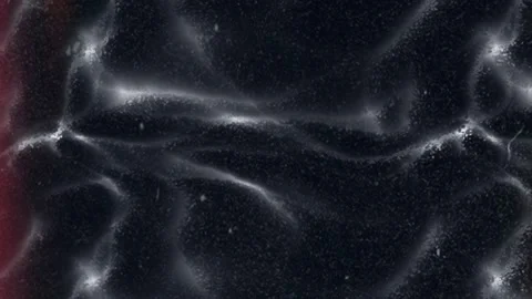 Water Reflection Overlay Stock Videos – Royalty-Free HD & 4K Videos