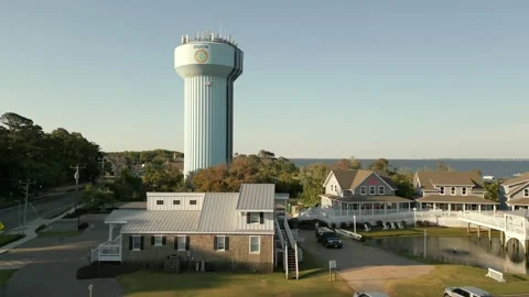 Duck On Water Stock Video Footage | Royalty Free Duck On Water Videos ...