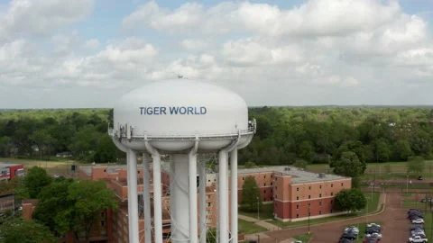 Mississippi Water Stock Videos – Royalty-Free HD & 4K Videos | Pond5