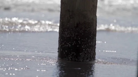 water wrapping around a pier piling | Stock Video | Pond5