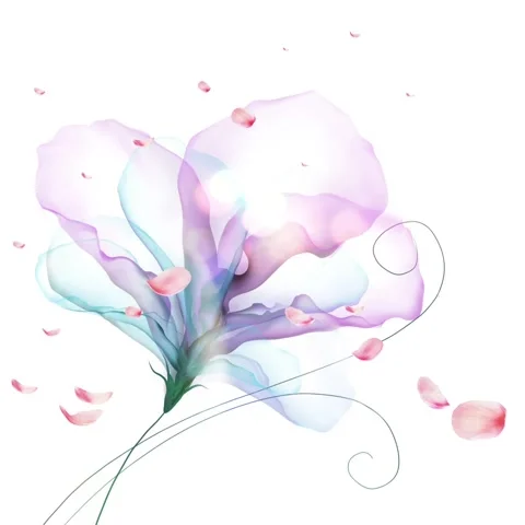 watercolor flowers vignette colorful tem... | Stock Video | Pond5