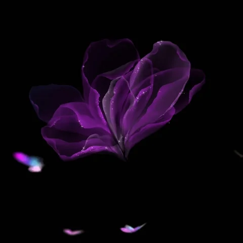 watercolor flowers vignette colorful tem... | Stock Video | Pond5