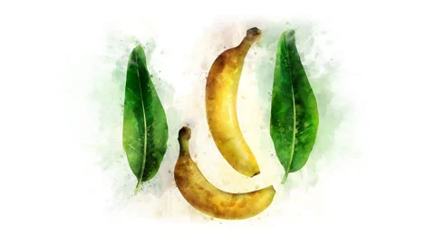 Banan Picture Stock Videos – Royalty-Free HD & 4K Videos