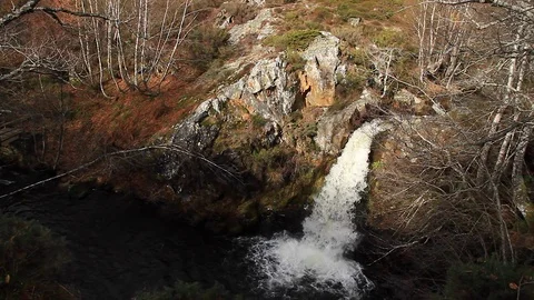 Beech With Rocks Stock Videos – Royalty-Free HD & 4K Videos