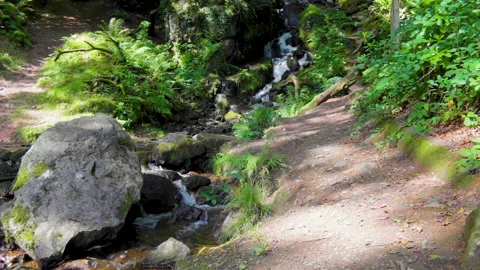 A waterfall in Burrator, an area of Dart... | Stock Video | Pond5