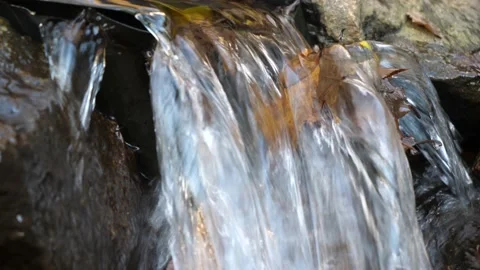 Waterfall flows over brown leaves in an ... | Stock Video | Pond5