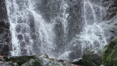 Waterfall in forest. Forces of nature co... | Stock Video | Pond5