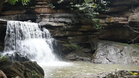 Wild Nature Wallpaper Stock Videos – Royalty-Free HD & 4K Videos