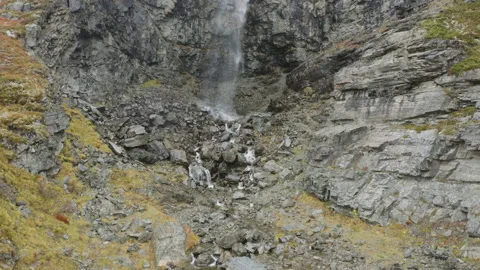 Waterfalls in two levels in rugged envir... | Stock Video | Pond5