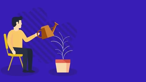 Watering Money Plant Stock Videos – Royalty-Free HD & 4K Videos | Pond5