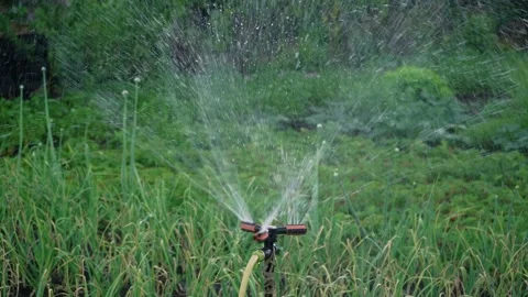 Watering crops in the garden. The smart ... | Stock Video | Pond5