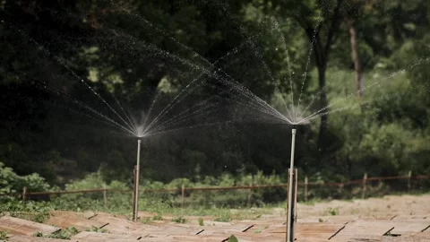 Watering process on a snail farm. Irriga... | Stock Video | Pond5