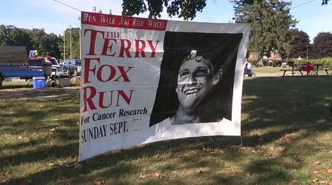 Fox Run Stock Footage ~ Royalty Free Stock Videos | Pond5