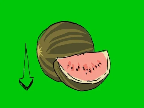 Watermelon - Hand Drawn - Green Screen -... | Stock Video | Pond5