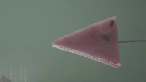 Watermelon rotating with loop on green s... | Stock Video | Pond5