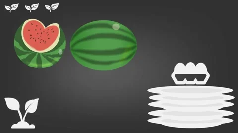 Watermelon - Vector Graphics - Food Ani... | Stock Video | Pond5