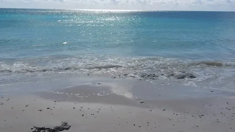 Wave Wash On Shoreline William Town Beac... | Stock Video | Pond5