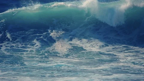 Sea Tube Stock Videos – Royalty-Free HD & 4K Videos