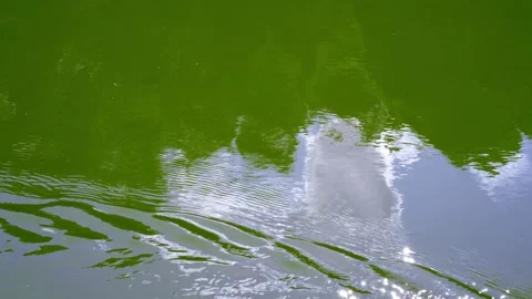 Waves and ripples on the water. Fluctuat... | Stock Video | Pond5