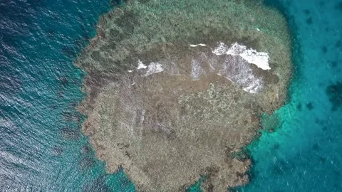 Waves break over reef crest of coral, re... | Stock Video | Pond5