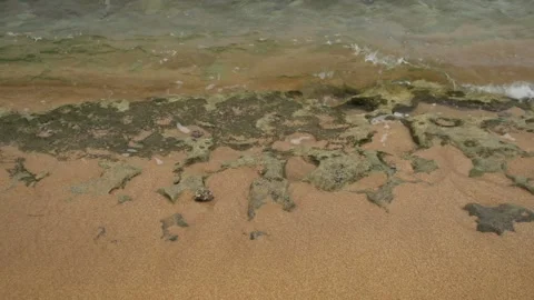 Waves gently break on half sand half ree... | Stock Video | Pond5