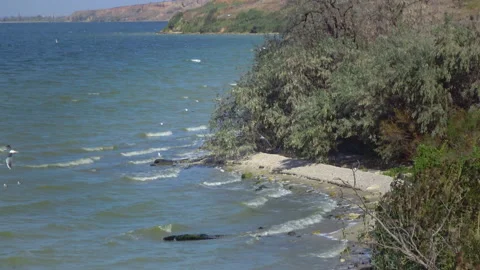 Waves of muddy water roll on the seashor... | Stock Video | Pond5