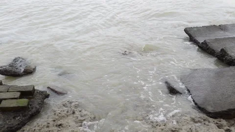 Waves of sea water lapping against moss-... | Stock Video | Pond5