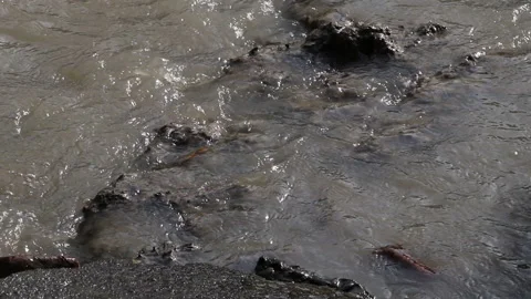 Waves of sea water lapping against moss-... | Stock Video | Pond5