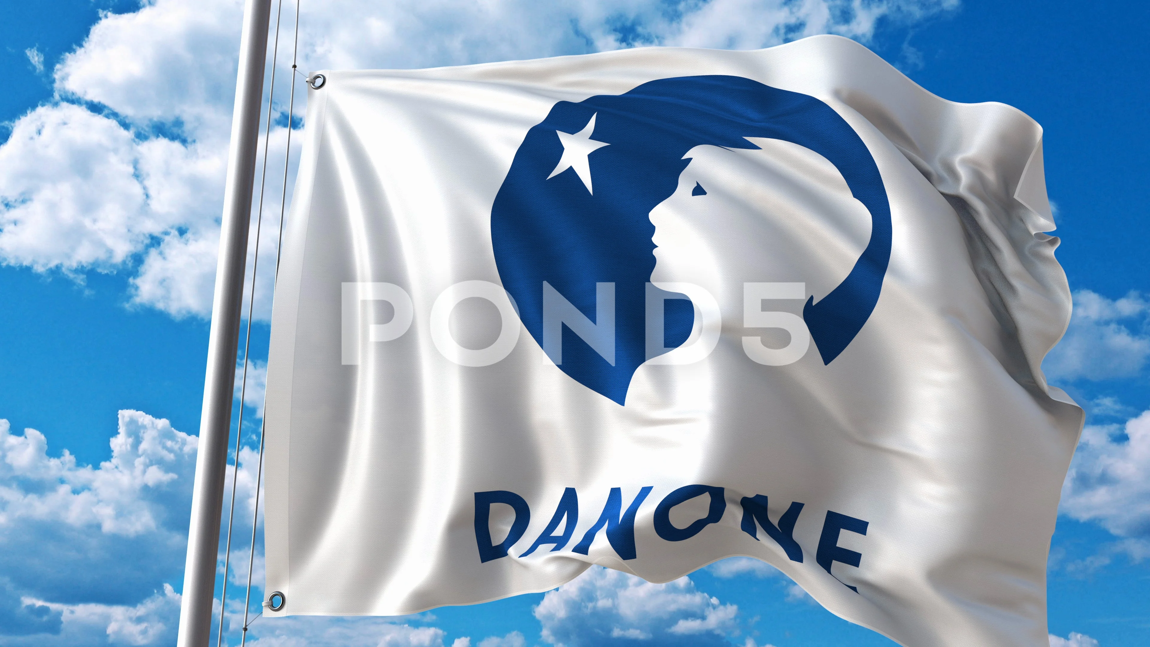 Danone Logo