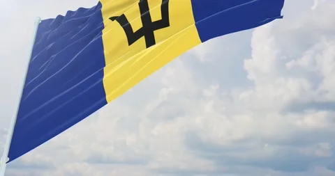 Waving flags of the world - flag of Barb... | Stock Video | Pond5
