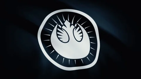 Waving in the wind flag with the symbol ... | Stock Video | Pond5