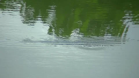 Wavy water reflection in the pond | Stock Video | Pond5