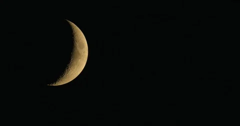 Waxing Full Body Stock Videos – Royalty-Free HD & 4K Videos | Pond5